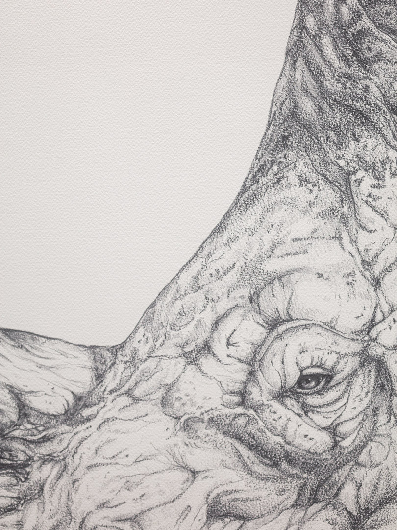 Matte Print Papers – GushaPro